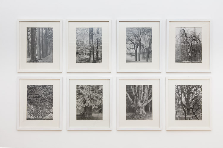 Thema: Albert Renger-Patzsch | kunsthaus nrw kornelimünster